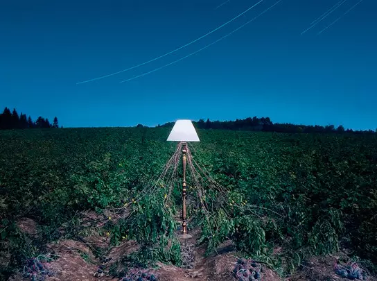 Patata, xjenza u fotografija: x'għandhom komuni?