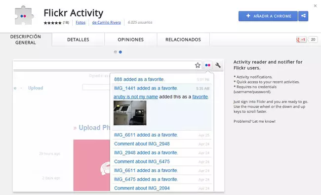 Flickr Activity