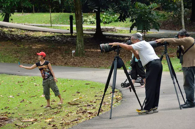 Gerações de fotógrafos
