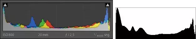 Muenzaniso Histogram