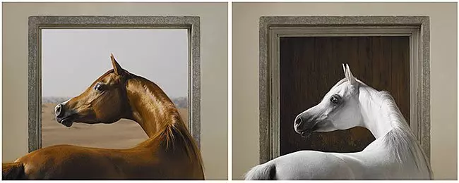 Equus, di Tim Flach