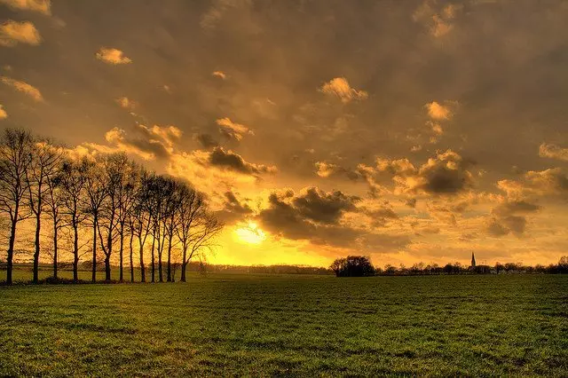 Zoutedrop Landscape