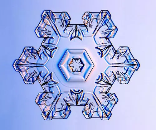 cristale de zăpadă.jpg