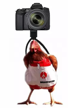 Nou Chicken-Pod de Manfrotto... Què ens queda per veure?