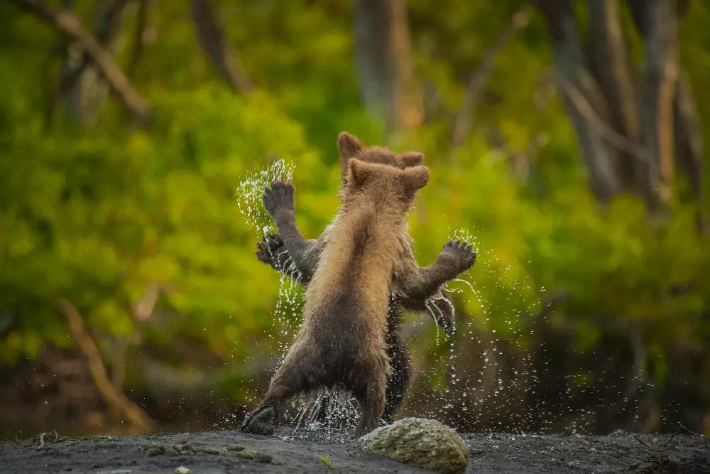 ენდი პარკინსონი მოდით S Dance