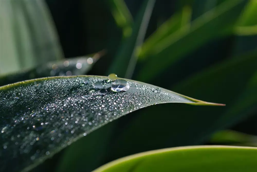 Druhý víťaz Mladý fotograf počasia roka Fotografia C Fynn Gardner