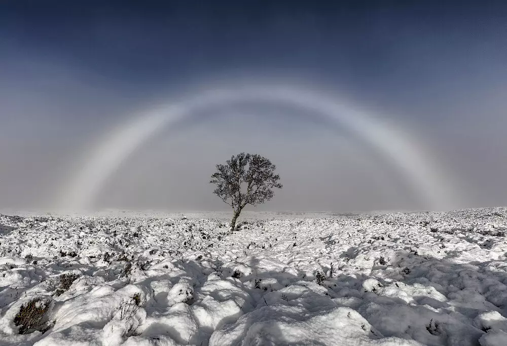 Фото C Мелвин Николсон