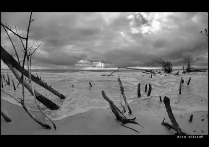 Longboat Key (фотаздымак Дрю Уілсама)