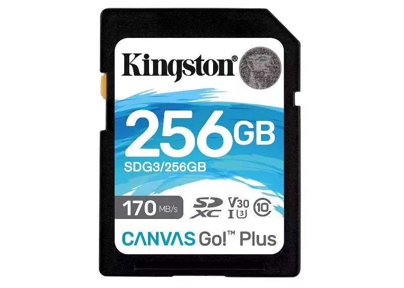 Kingston 256gb Sdxc Canvas Go Plus