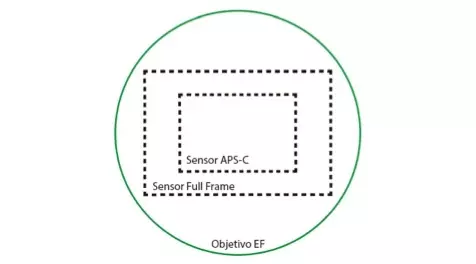 jenis sensor