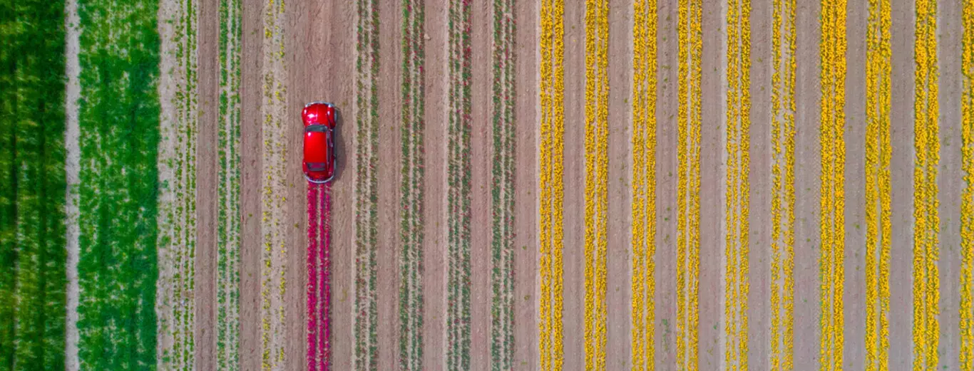 دنیایی که در عکسهای تماشایی از هواپیماهای بدون سرنشین برنده مسابقه Drone Photo Awards 2021 دیده میشود.