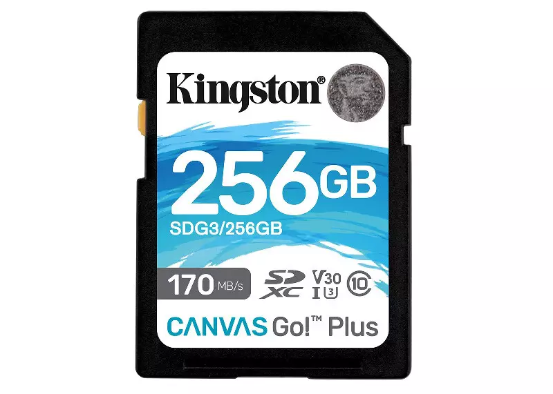 Kingston 256 gb Sdxc Canvas Go Plus