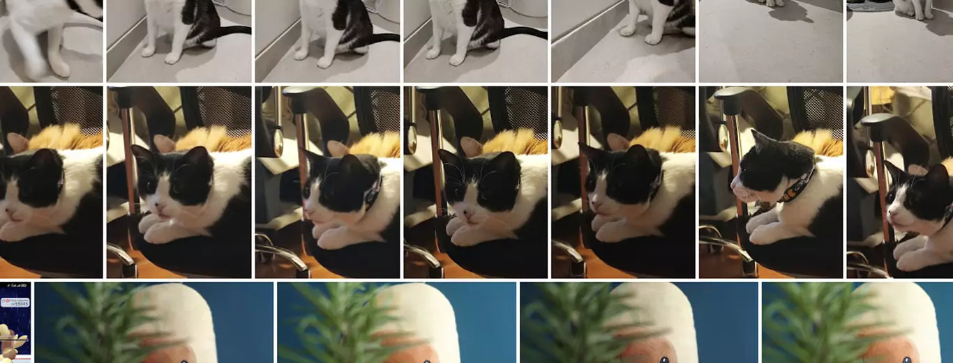 Google Photos të pagesës është tashmë këtu: cila është rruga për të marrë si fotografë?