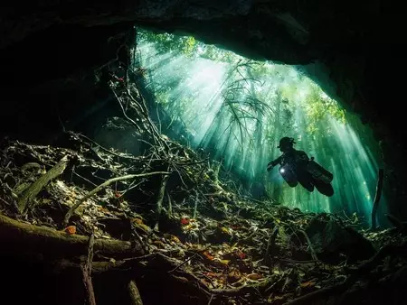 Spettacolari fotografie subacquee ai 