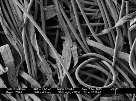 تصاویر باورنکردنی از اجسام رایج که با میکروسکوپ روبشی ساخته شده اند 20083_21