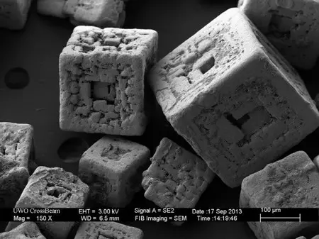 Невероятные изображения обычных предметов, сделанные с помощью сканирующего микроскопа 20083_24