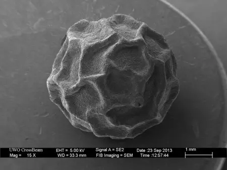 Сканерлеуші микроскоппен жасалған жалпы объектілердің керемет суреттері 20083_26