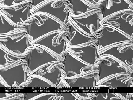 Сканерлеуші микроскоппен жасалған жалпы объектілердің керемет суреттері 20083_27