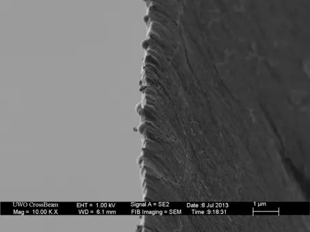 Сканерлеуші микроскоппен жасалған жалпы объектілердің керемет суреттері 20083_30