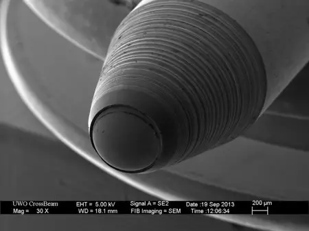 تصاویر باورنکردنی از اجسام رایج که با میکروسکوپ روبشی ساخته شده اند 20083_35