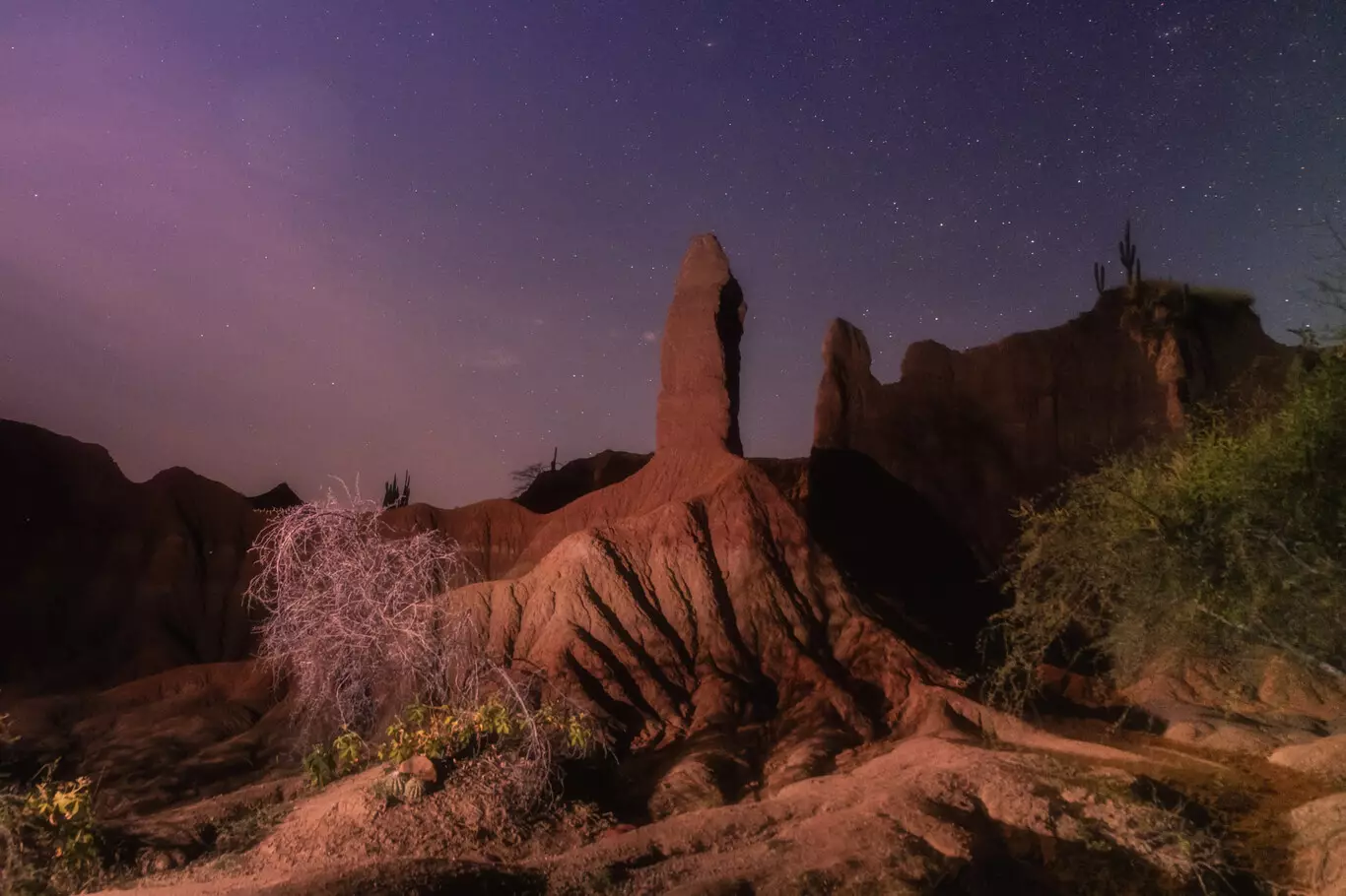 Fotografi Pemenang Penghargaan Nasional Sony