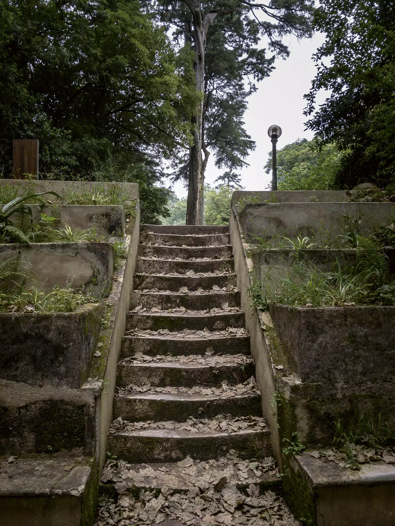 Ffotograffiaeth symudol o ansawdd uchel José María Mellado