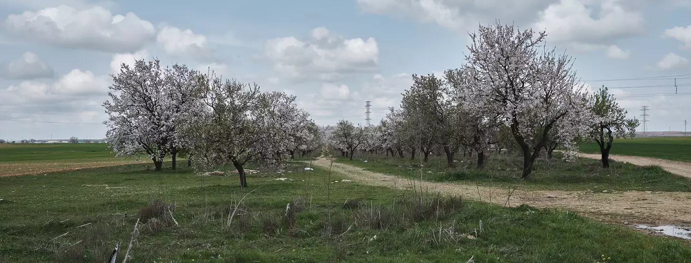 Ինչի՞ համար է ավելի մեծ ձևաչափը: Fujifilm X-T2-ից մինչև GFX 50R