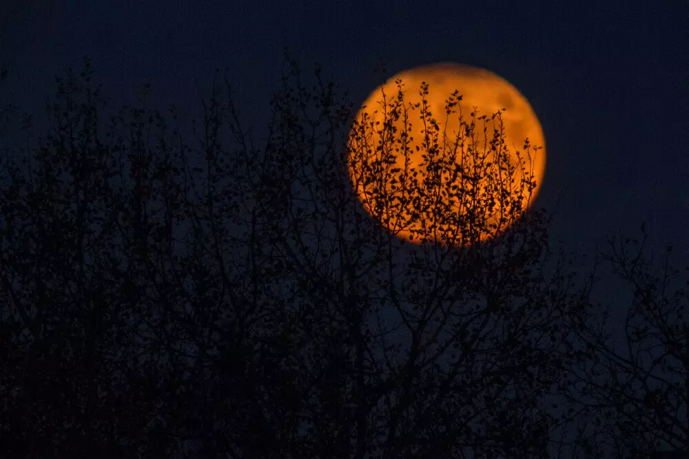القمر الأحمر كيفية تصوير Rx2