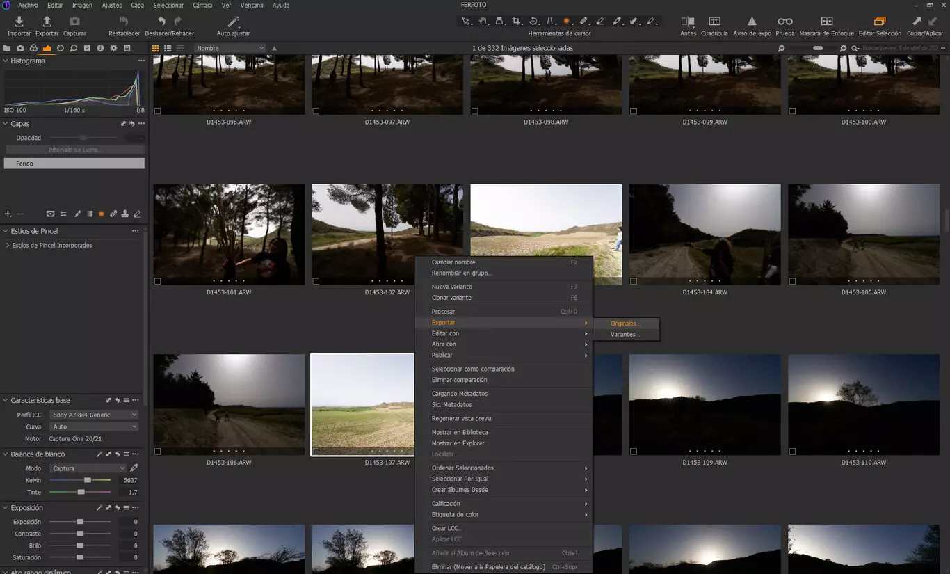 Capture One Import III