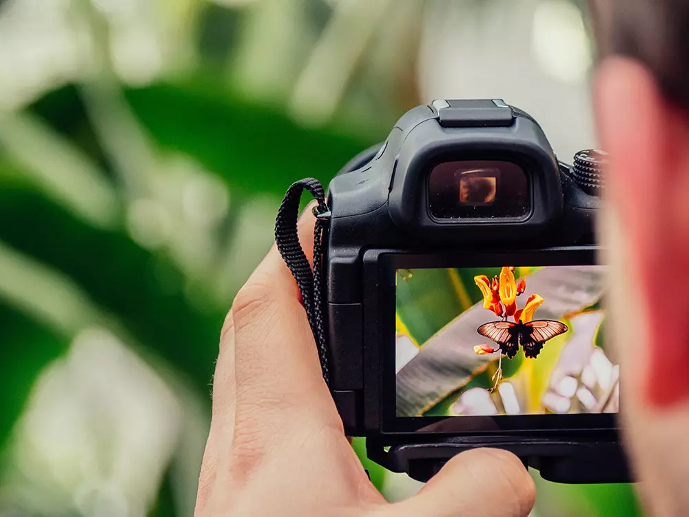 正しいAF06を選択して、ぼやけた写真を避けてください