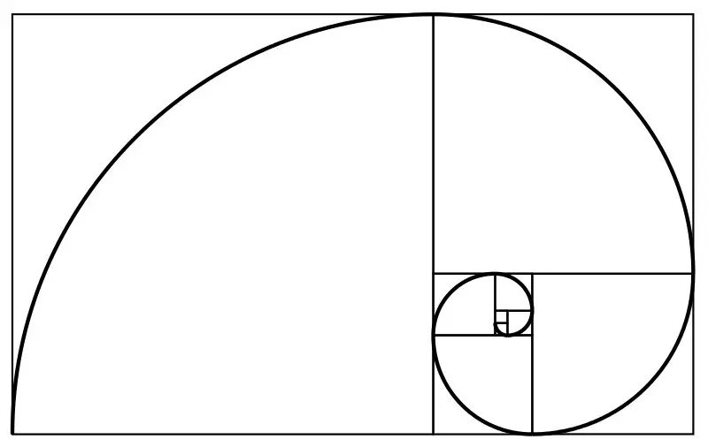 Fibonachchi spirali
