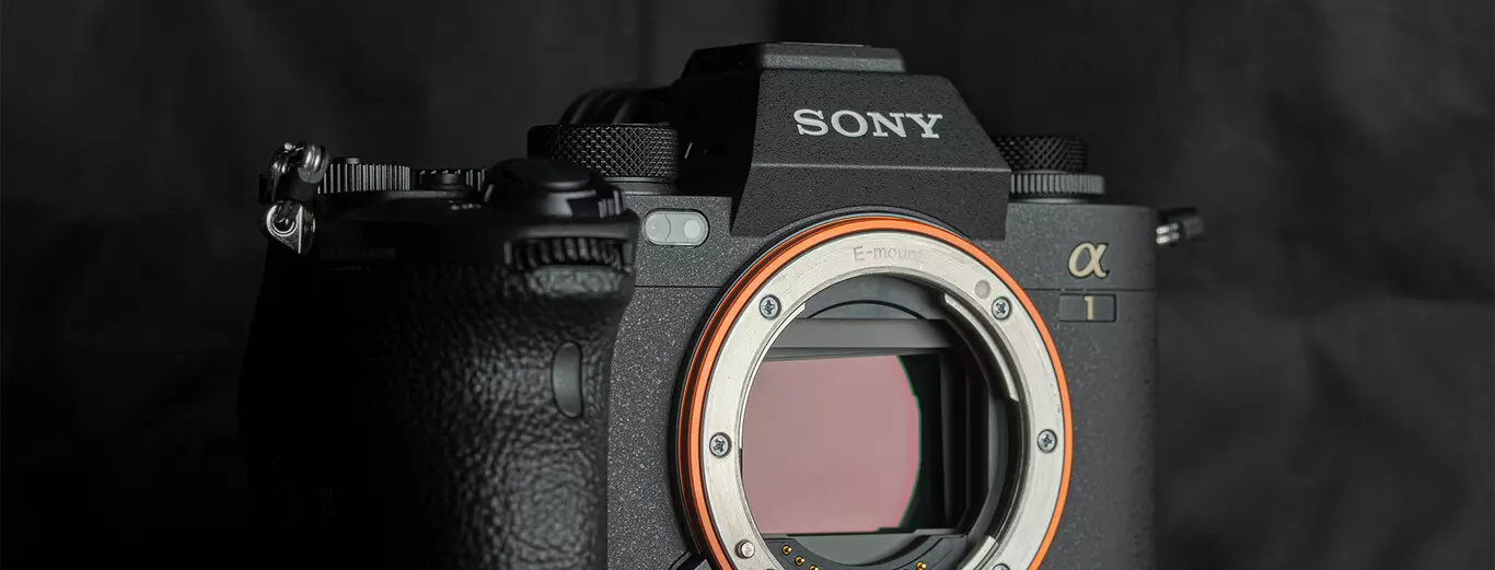 Sony A1, berrikuspena: ezaugarriak, argazkiak, prezioa