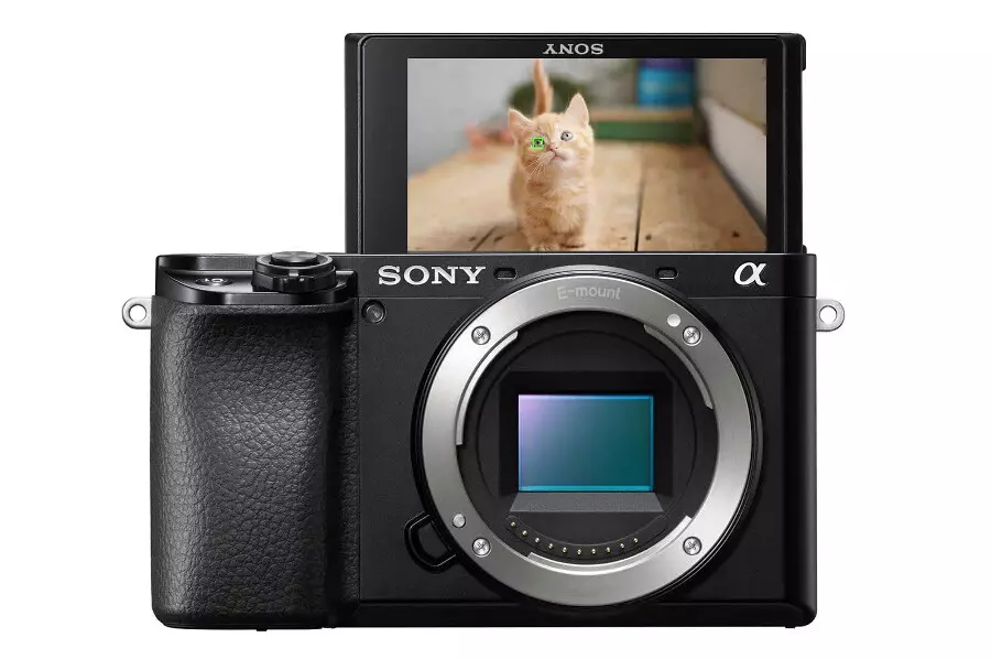 Sony A6100 корпусу