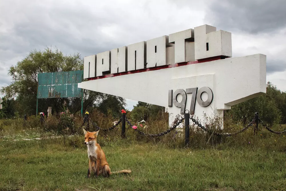 Οδηγός Chernobyl A Stalkers 15