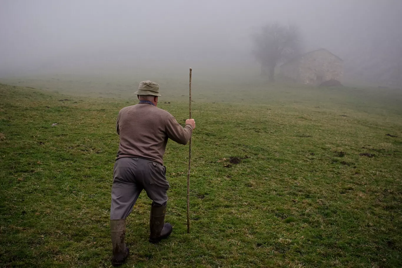 Navia Alma Tierra Asturias 2011 Gabino Pastor Xaldo Într-o fermă de cowboy El Pevidal