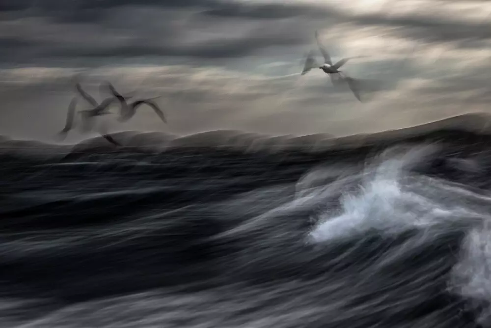 Npoty Photo Contest 2020 Restless Sea Jiri Hrebicek Runner Up C1 Birds