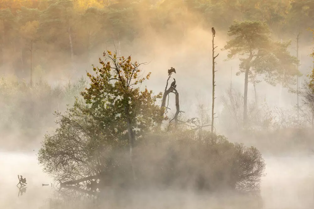 Npoty Photo Contest 2020 Уживајќи во раното утринско сонце Дејвид Патин Второпласиран C11 Lage Landen