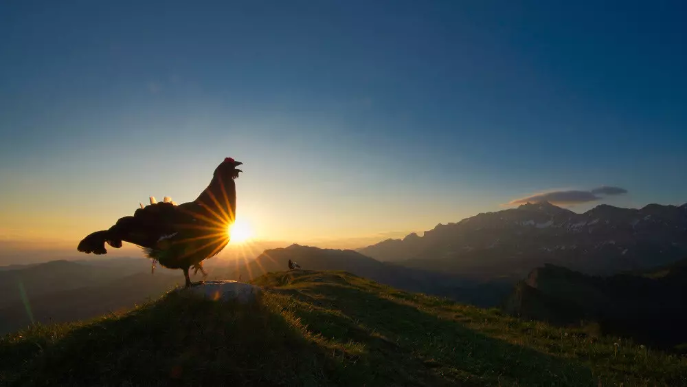 Npoty Photo Contest 2020 Morning Lek Levi Fitze Второпласиран C12 Млади