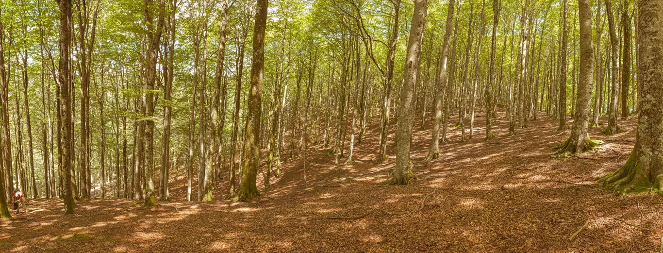 Filmy fotografów, użycie masek i nowe obiektywy: Galaxia Xataka Foto