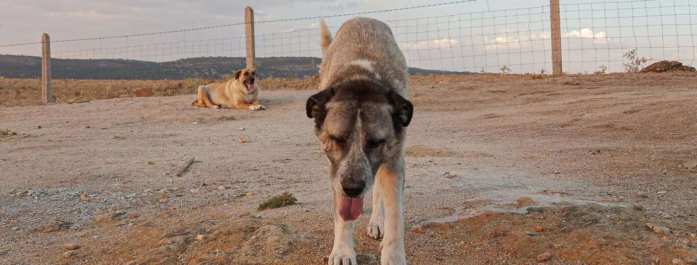 Kif tiffoka fl-Adobe Photoshop bit-teknika ta’ Bruce Fraser, wieħed mill-pijunieri tal-fotografija diġitali