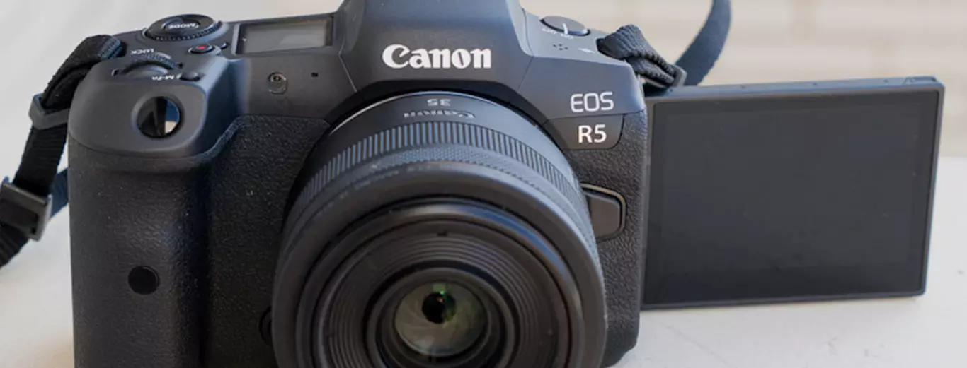 3,200 FPS వద్ద ఎగురుతున్న కీటకాలు, Canon EOS R5 యొక్క విశ్లేషణ, ఫోటోగ్రఫీ దినోత్సవ వేడుకలు మరియు మరిన్ని: Galaxia Xataka Foto