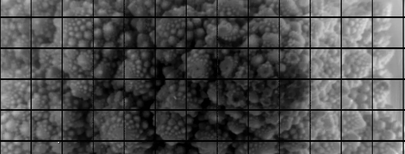 دانشمندان دانشگاه استنفورد موفق به ثبت اولین عکس ها با حسگر 3200 مگاپیکسلی شدند
