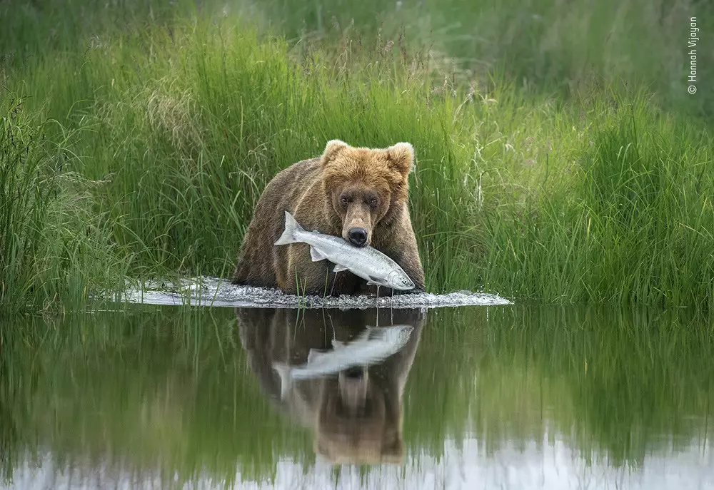 R Hannah Vijayan Wildlife Photographer Of The Year