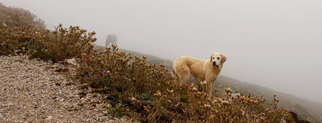 Tekstuer en dúdlikens, de twa parameters om de sensaasje fan skerpte te kontrolearjen dy't wy hawwe yn Adobe Camera RAW en Lightroom