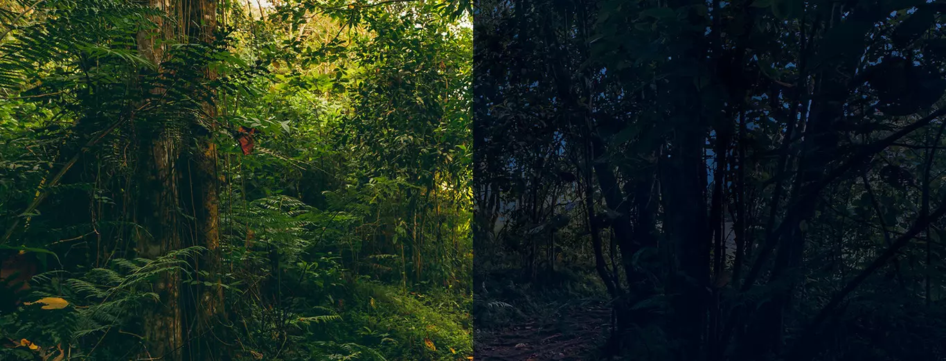 Lá a athrú go hoíche, portráidí ar an trá, grianghrafadóireacht ríomhaireachtúil agus go leor eile: Galaxia Xataka Foto