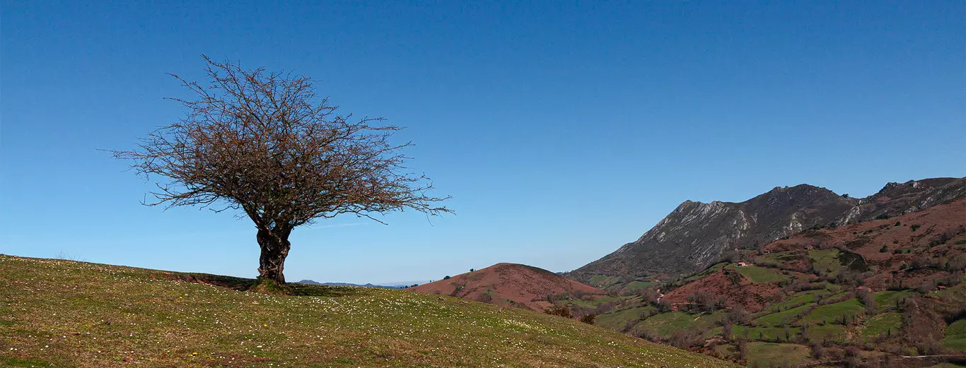 Conas a bheith ar an eolas uair amháin agus go brách cén spás oibre le roghnú le haghaidh priontála: sRGB nó Adobe RGB (1998)