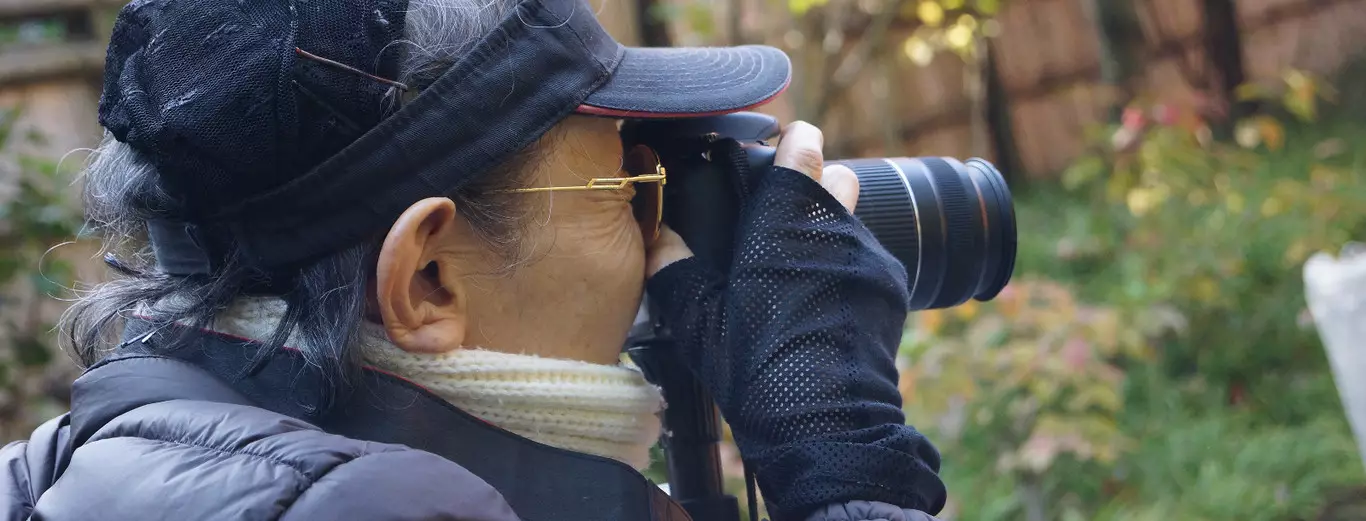 Hukuman perintis di Eropa: seorang nenek harus menghapus foto cucunya di jejaring sosial oleh undang-undang perlindungan data