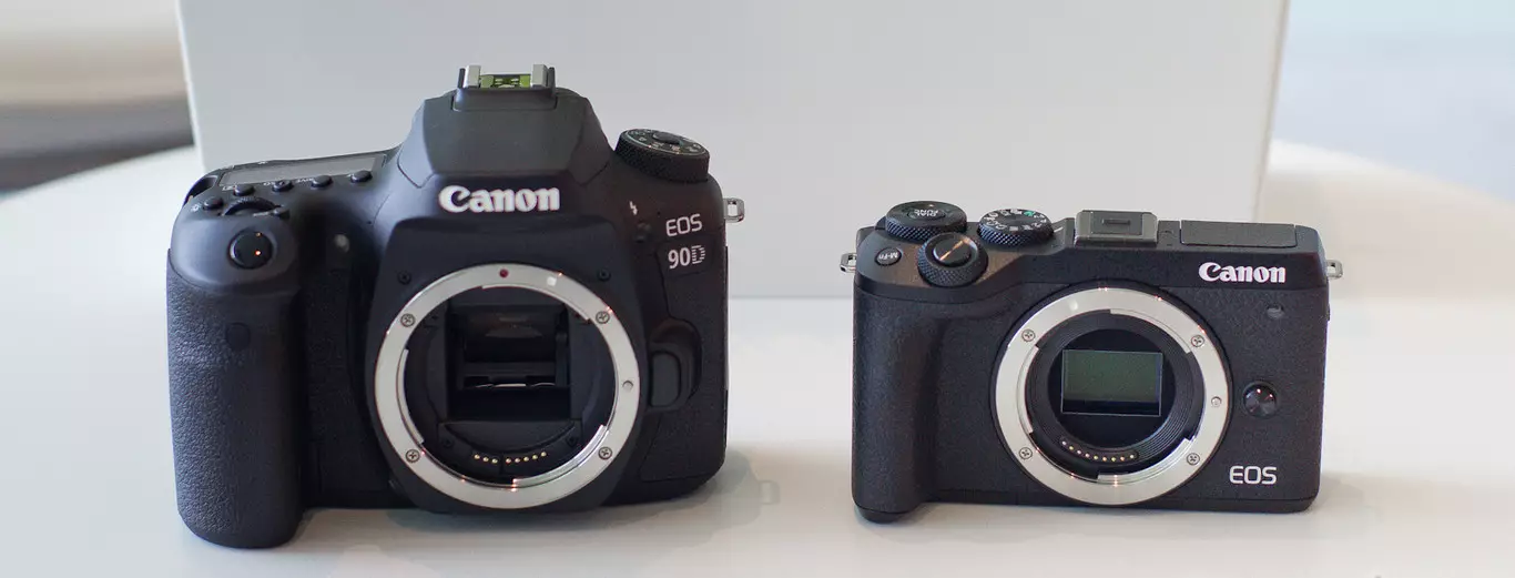 Reflex Vs mirrorless: egwu nke ịgbanwe usoro