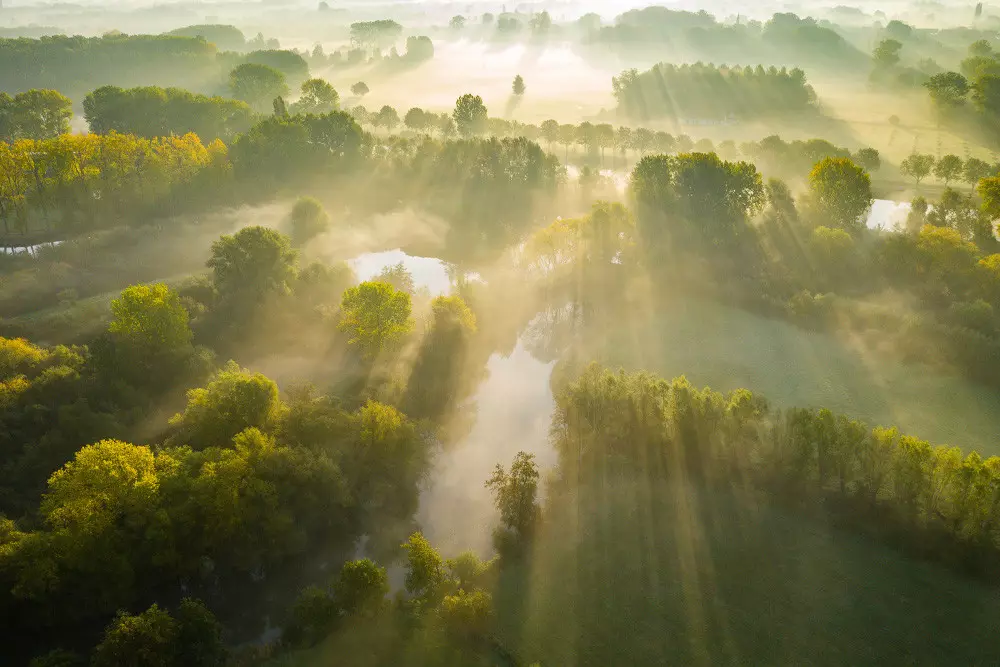 Highly Commended Bart Heirweg Dji