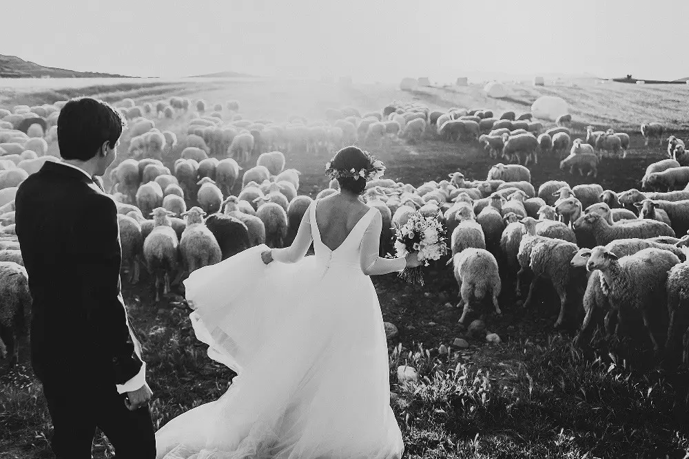 2015 Yılının En İyi Düğün Fotoğrafları